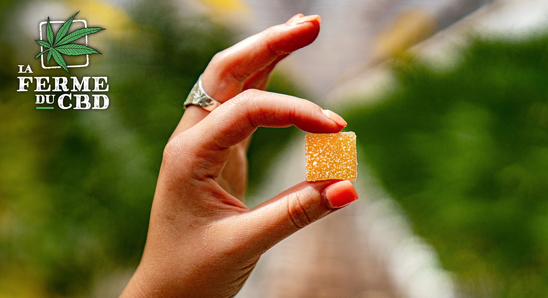 Bonbons au CBD : effets, bienfaits et usage quotidien