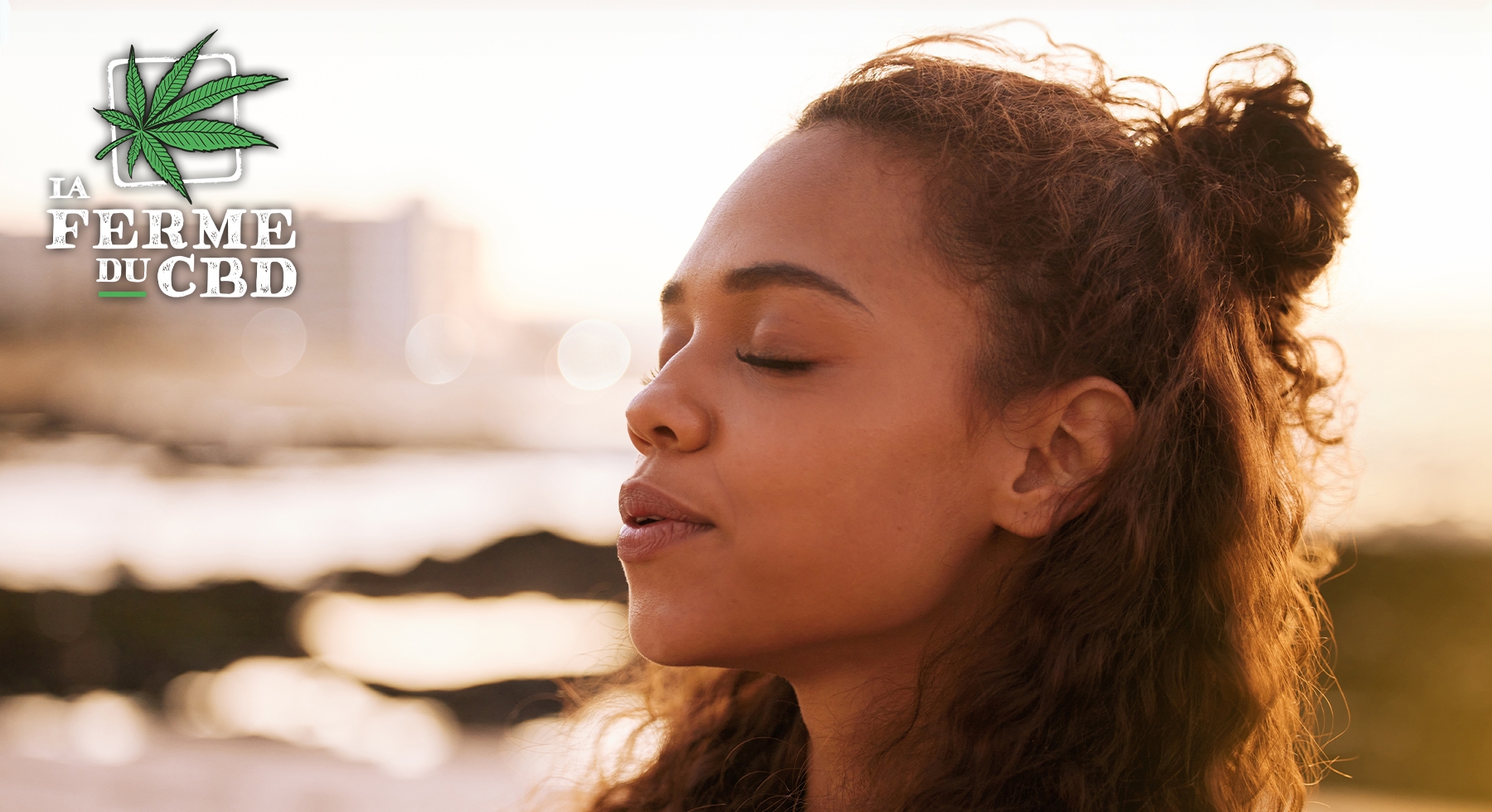 Les propriétés du CBD comme solution anti-stress